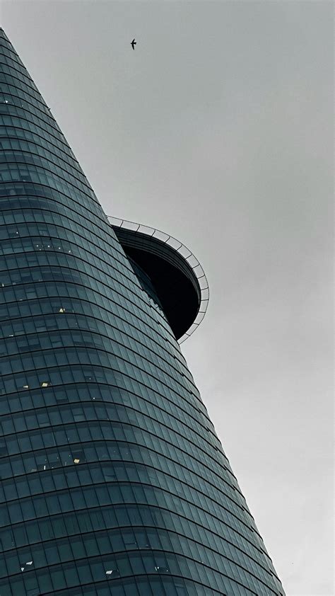 Tanlineshairybush Photos Download The Best Free Tanlineshairy