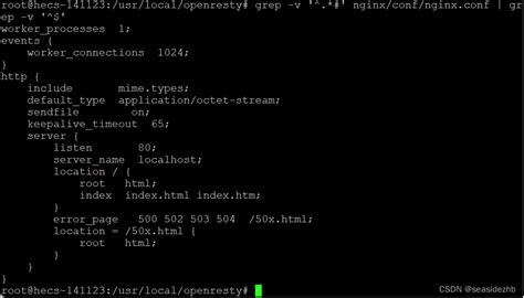 Linux学习之ubuntu 20中openresty的nginx目录里内容和配置文件
