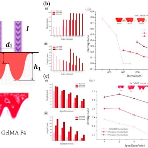 Analysis Of The Printability Of The Photocrosslinkable Hydrogel During Download Scientific