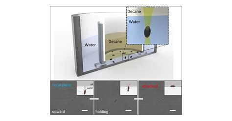 Geometric Effects Of Colloidal Particles On Stochastic Interface