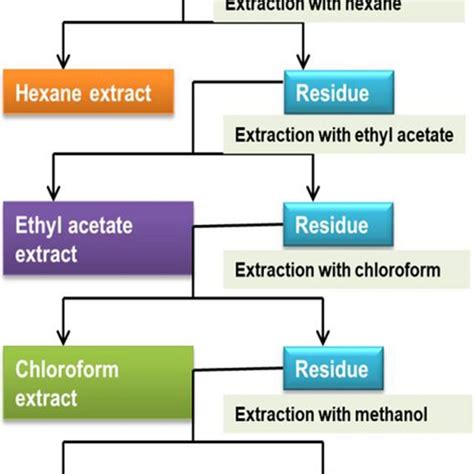 Schematic Diagram Showing Sequential Extraction Download Scientific