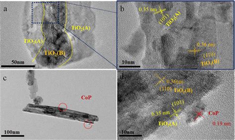 A B TEM Images Of TiO AB Photocatalysts C D TEM And HRTEM Image