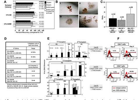 Figure 1 From Hematopoiesis And Stem Cells Hematopoietic Stem
