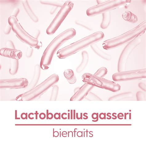 Quels Sont Les Bienfaits Du Lactobacillus Gasseri