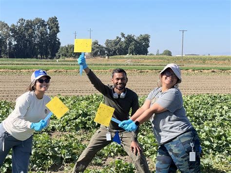 Sanket Shinde On Linkedin Amazing Opportunity To Work With Amazing