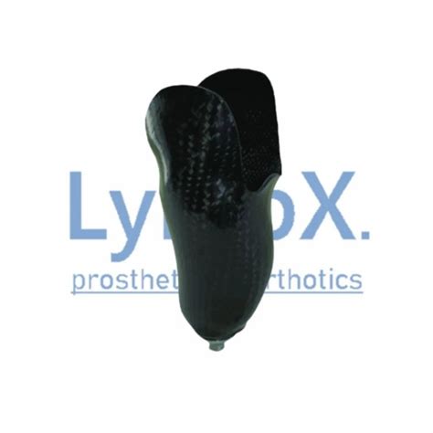 Lower Limb Functional Prosthetic Left Side Knee Prosthesis At ₹ 20000 In Chennai