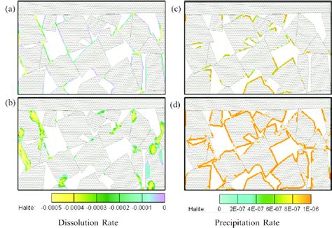 Dissolution Rate Of Halite After A 2 Hours And B 10 000 Hours Of Download Scientific