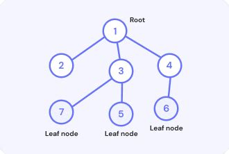 What Is Leaf Node Limeup