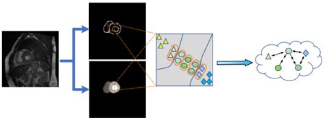 논문 리뷰 Prototype Contrastive Consistency Learning For Semi Supervised Medical Image Segmentation