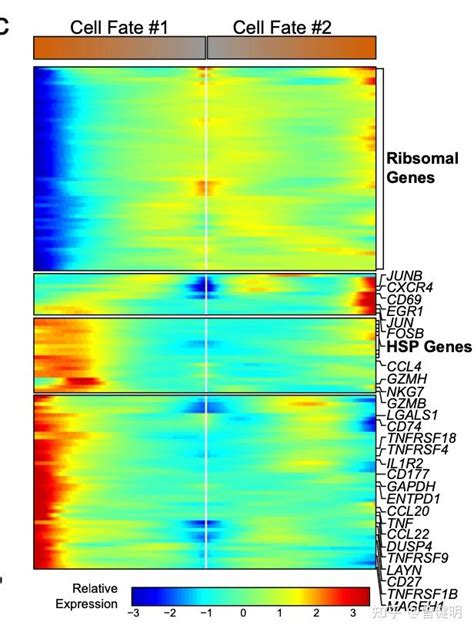 拟时序分析就是差异分析的细节剖析 知乎