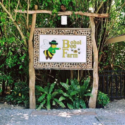 Top 24 Best Tourist Spots In Bohol For First Time Visitors Out Of