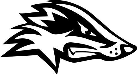 Datadachs • Professionelle It Dienstleistungen