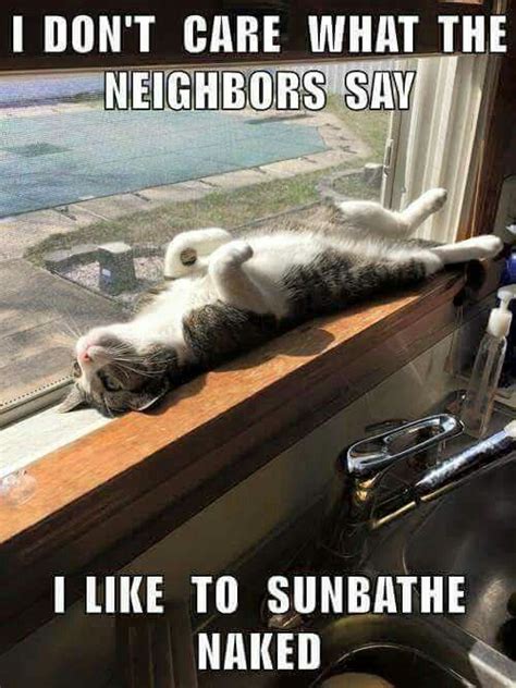 Sunbathing Meme At Sarah Bugarin Blog