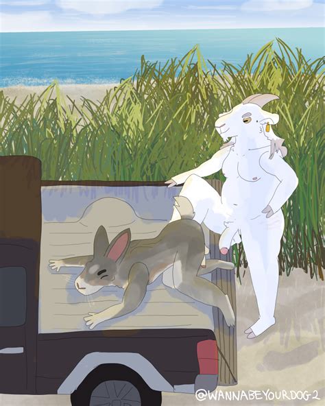 Rule 34 Absurd Res Anthro Ass Ass Up Balls Beach Bovid Caprine Closed Eyes Cloud