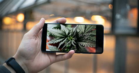 React Native Gardening Mobile App Development Appilian