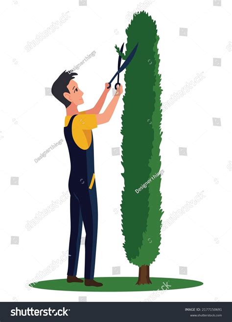 Professional Gardener Pruning Tree Pruners Garden Stock Vector Royalty Free 2177150691