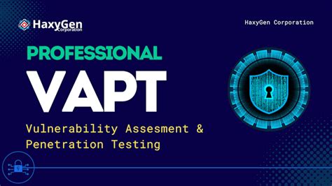 Perform Vulnerability Assessment And Penetration Testing By Haxygen Net Fiverr