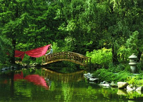 Japanese Garden Timeline Early History To 2012 Cranbrook Center For