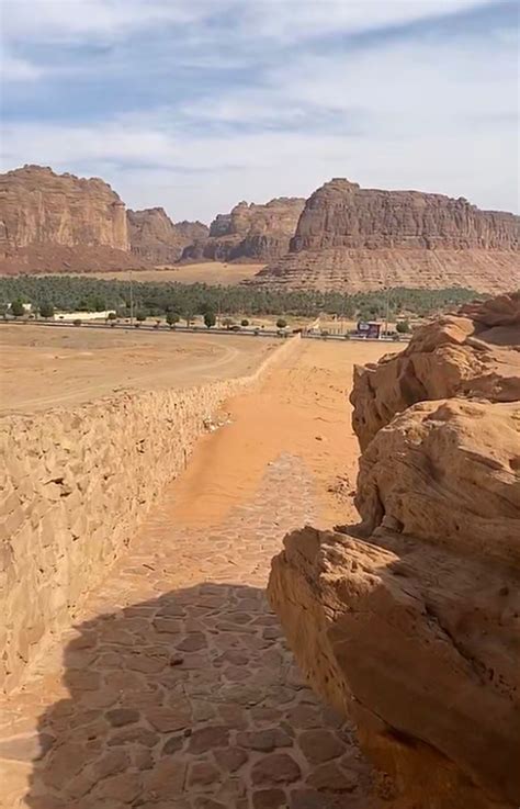 تغريد بنت صقير T630166 Profile Padlet