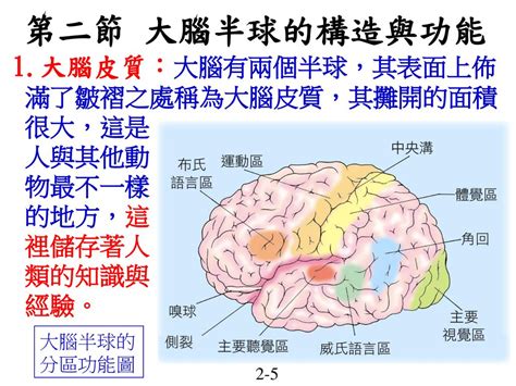 教材大綱 心理學導論 Ppt Download