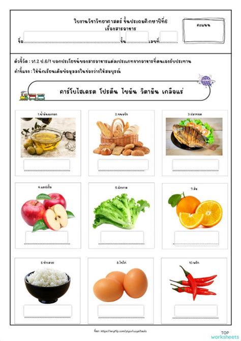 ใบงานวิชาวิทยาศาสตร์ ป 6 เรื่องสารอาหาร ใบงานเชิงโต้ตอบ Topworksheets