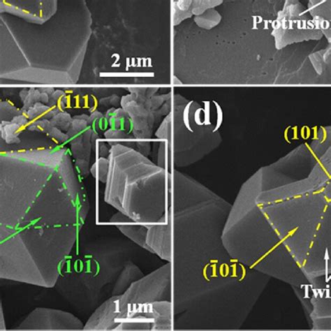 Ab Pentagonal Twins C The Side View Of Pentagonal Twin D Twins Download Scientific