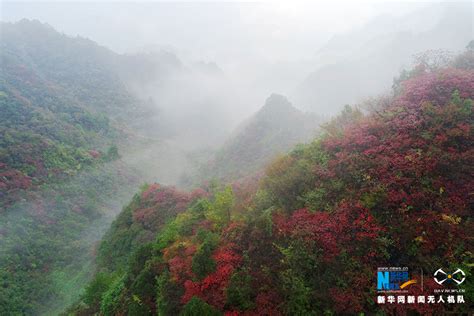 飞阅中国重庆秋雨过后红叶美 绚丽秋景惹人醉