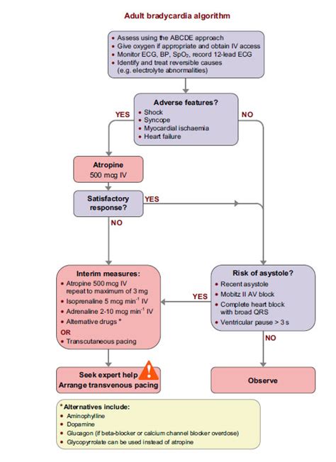 Resuscitation Council Uk Advanced Life Support Escape And Agonal