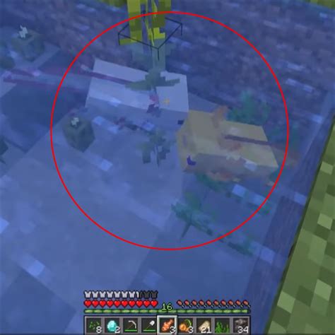 How To Breed Axolotl In Minecraft