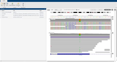 Visualize Ngs Data Using Genomics Viewer App