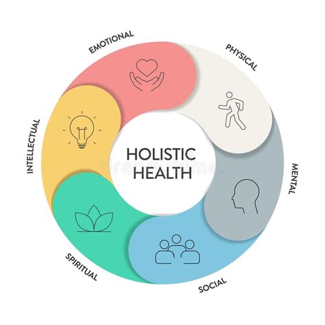 Holistic Health Framework Infographic Diagram Chart Illustration Banner Template With Icon Set