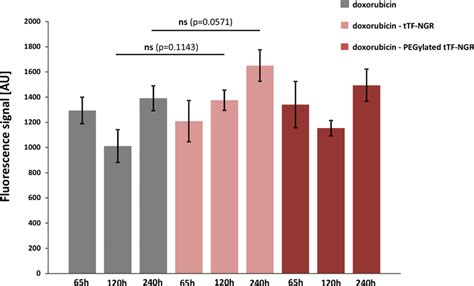 Fluorescence Based Quantification Of Doxorubicin Content In Normal Lung Download Scientific