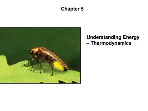 PPT Understanding Energy Thermodynamics PowerPoint Presentation Free Download ID 356915