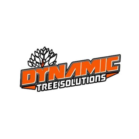Dynamic Tree Solutions