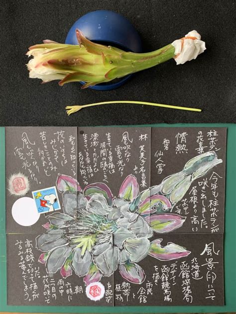 花の命は短くて 絵手紙 交流ひろば てがみ倶楽部
