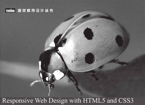 响应式web设计—html5和css3实战 响应式web设计—html5和css3实战