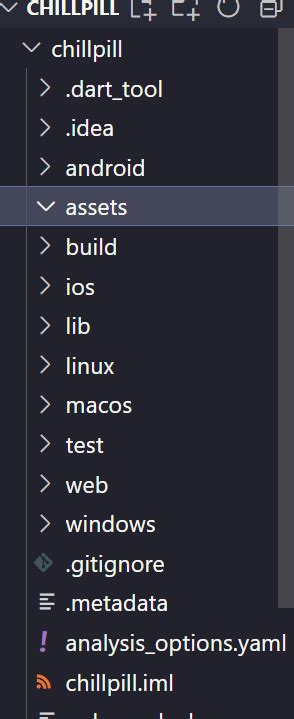 What Is The Best Folder Structure Of Flutter Python Hub