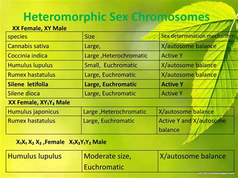 Sex Determination In Plants PPTX Reproductive Health Diseases And Conditions