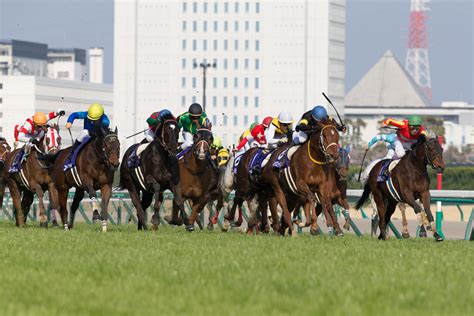 競馬aiがセントウルs、京成杯ahを大予想 厳選ワイド3点＆3連複10点で勝負！ スポーツナビ