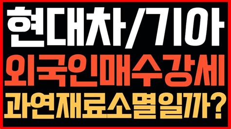 💥현대차 주가 기아 주가 전망 올해 여기까지 오릅니다 Youtube