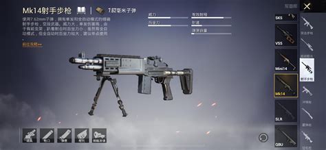 SVD狙击步枪是精确射手步枪么精确射手和狙击手有什么区别