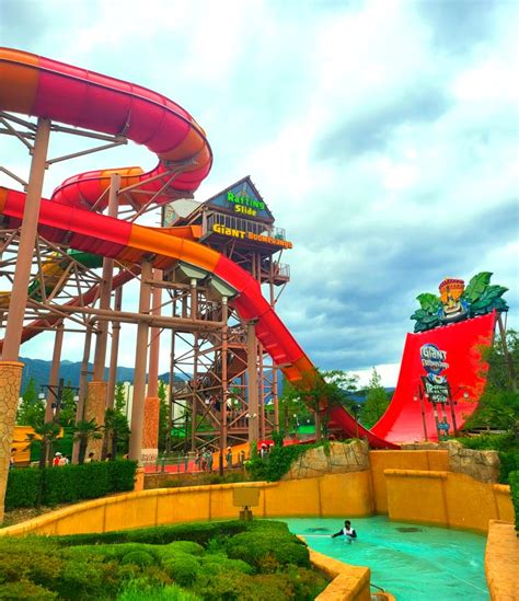 김해 롯데워터파크 가격 할인정보 및 매직패스 꿀팁 네이버 블로그 김해 롯데워터파크 가격 할인정보 및 매직패스 꿀팁 네이버 블로그