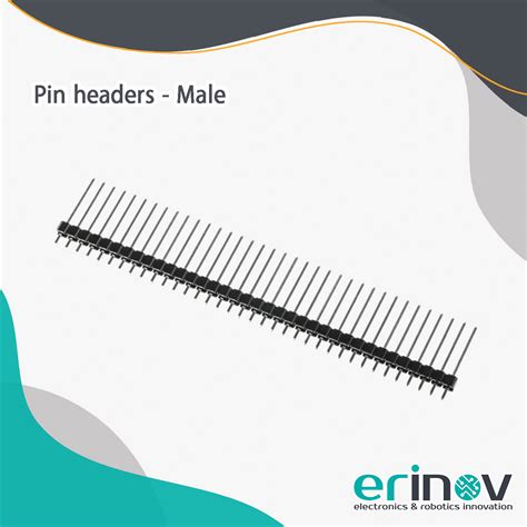 Pin Headers Male Erinov