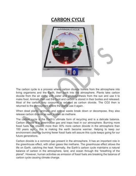 Chemistry Wood Carbon Cycle Science Working Model Using Running Led