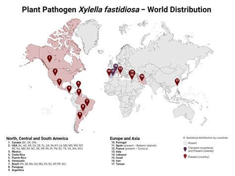 Plant Pathogen Xylella Fastidiosa World Distribution Biorender