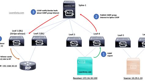 Replace Leaf Or Spine In Cisco Aci Fabric [step By Step] Learn Duty