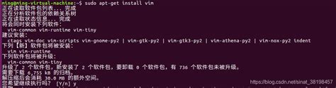 Linux安装vim不成功（没有可用的软件包）解决方法程序vim 已包含软件包 Csdn博客