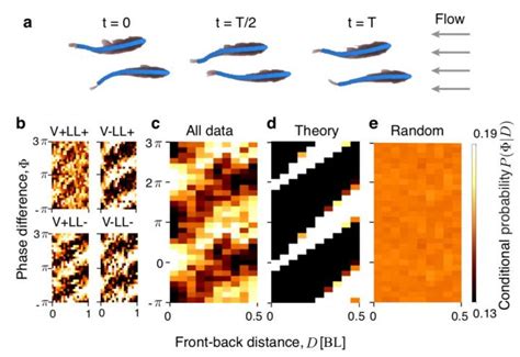 Figure 3 IMAGE EurekAlert Science News Releases