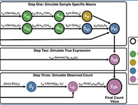 Borzoi Predicting Rna Seq Coverage From Dna Sequence As A Unifying
