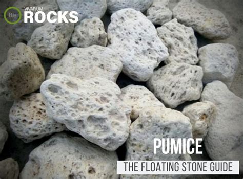 Igneous Rocks Pumice
